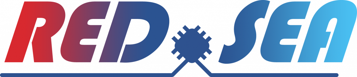 Advancing Exascale Computing: the RED-SEA Project’s Breakthrough in ...